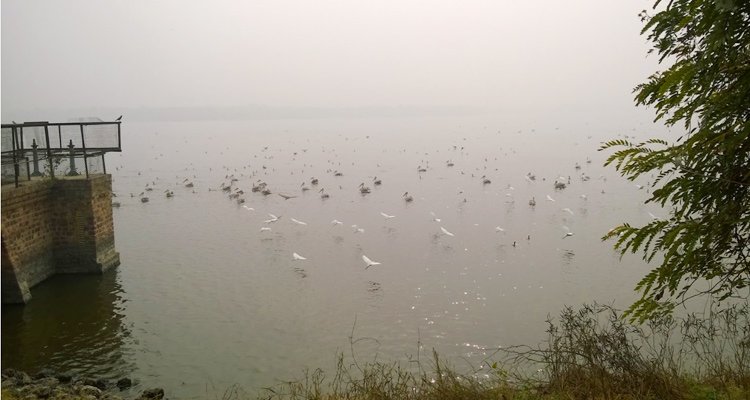 Keetham Lake Agra (Timings, History, Entry Fee, Images, Built by ...