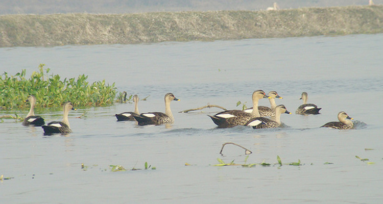 Keetham Lake Agra (Timings, History, Entry Fee, Images, Built by ...