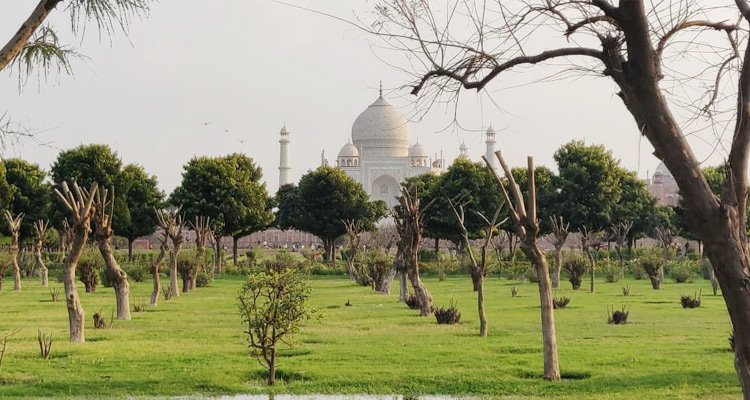 Mehtab Bagh Agra (Timings, History, Entry Fee, Images, Built by ...