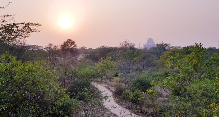 Taj Nature Walk Agra (Timings, History, Entry Fee, Images, Built by ...