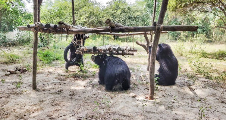 Wildlife SOS Agra (Timings, History, Entry Fee, Images, Built by ...